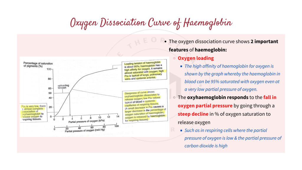 Oxygen Dissociation Curves of Haemoglobin, Myoglobin & Foetal ...