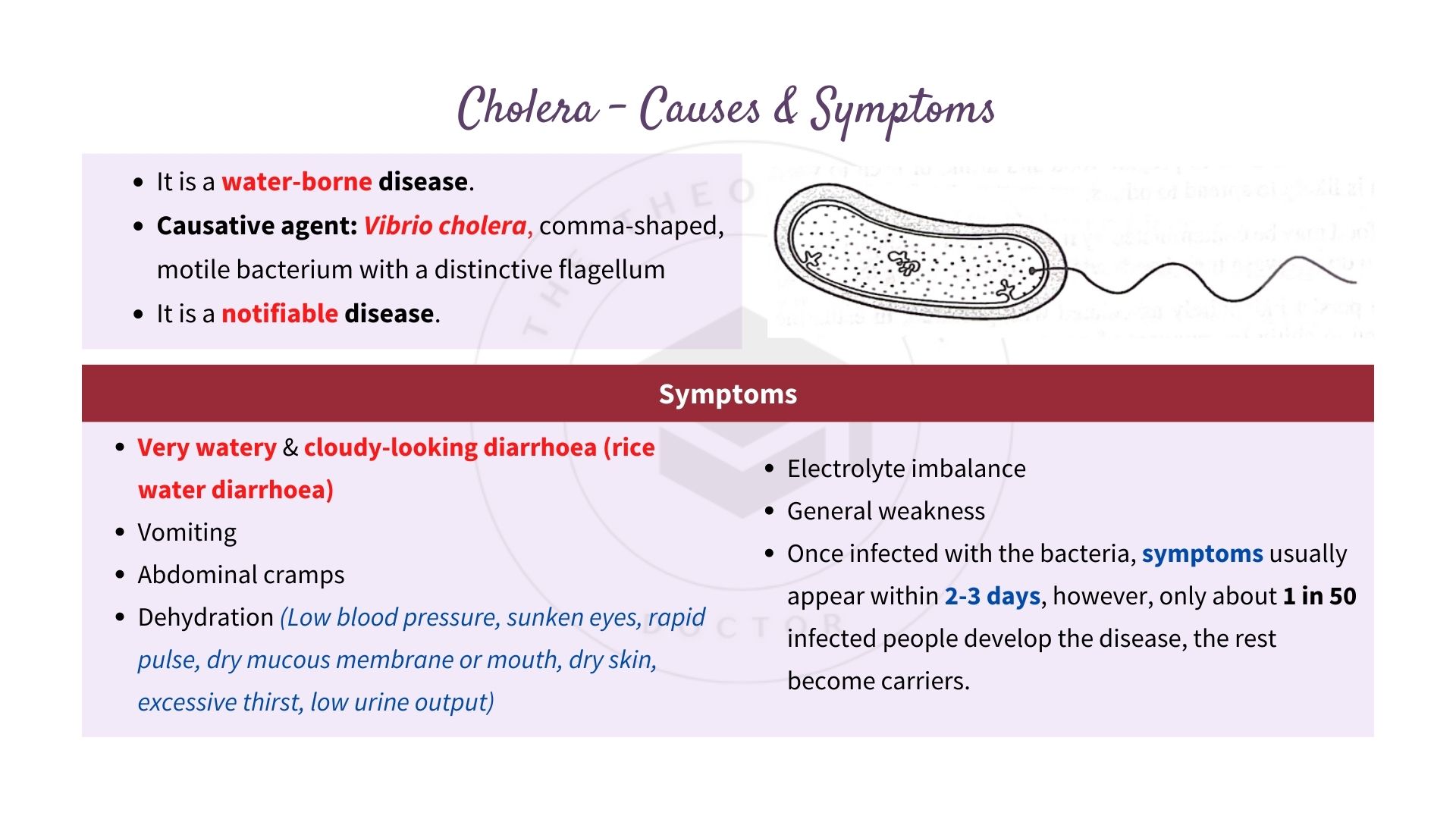Cholera + Tuberculosis – Infectious Disease – The Theoretical Doctor