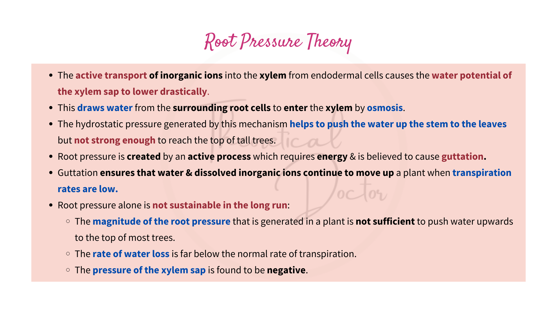 Root Pressure Theory + Cohesion-Tension Theory & Transpiration Pull ...